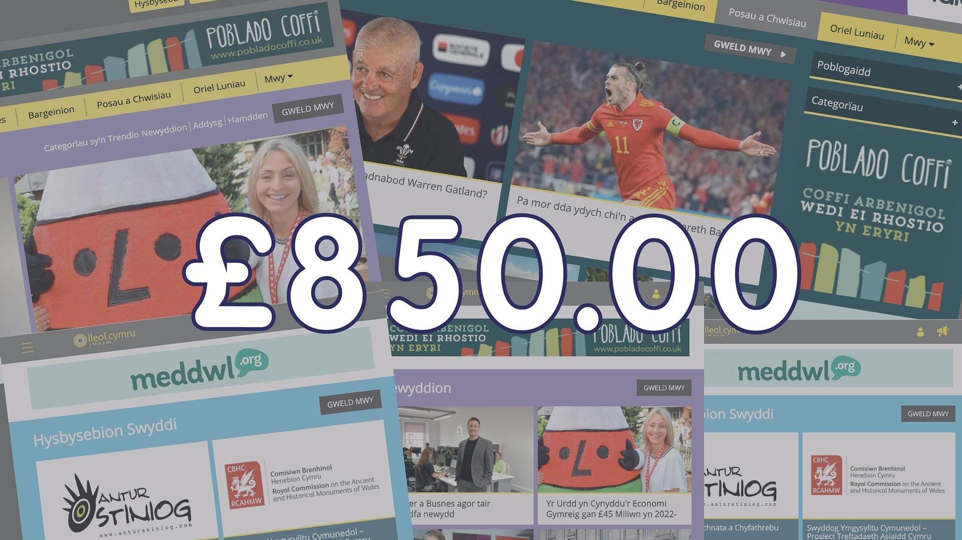 **CYSTADLEUAETH NEWYDD** Pecyn Hysbysebu Digidol ar wefan Lleol.cymru