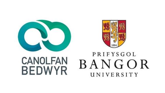 **SWYDD NEWYDD** Tiwtor Cymraeg ar gyfer y Gweithlu Addysg - Canolfan ...