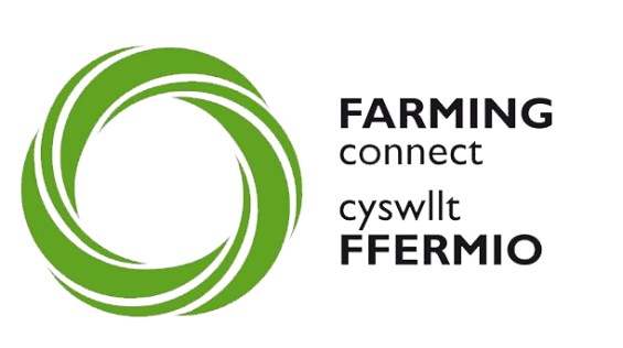 Hysbysfwrdd Swyddi Cymru - Lleol.cymru